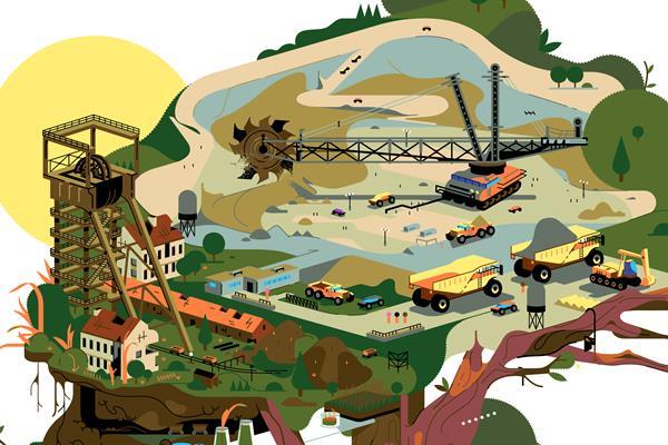 Phytomining: how to mine a tree | Feature | RSC Education